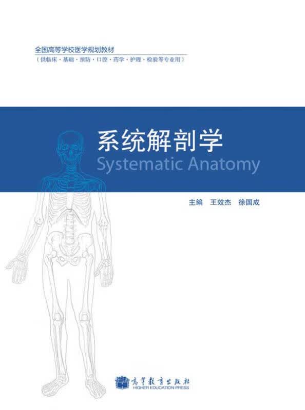 系统解剖学【好书】