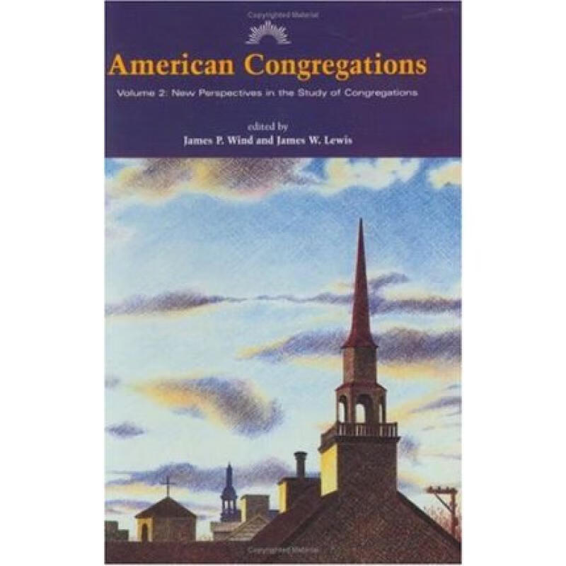 American Congregations, Volume 2: New Perspe...