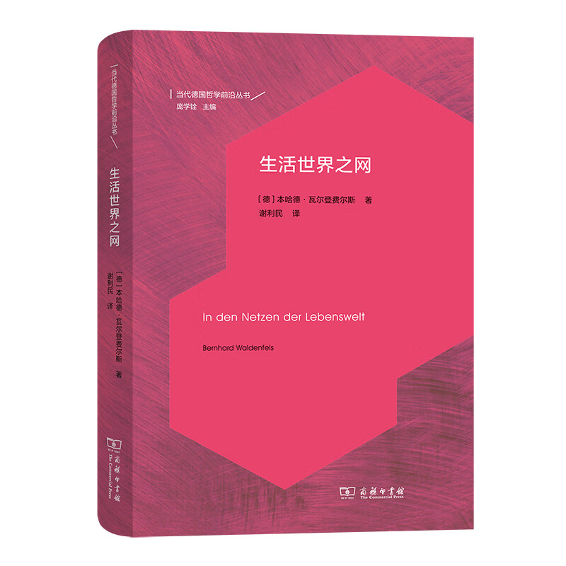 生活世界之网(精)/当代德国哲学前沿丛书