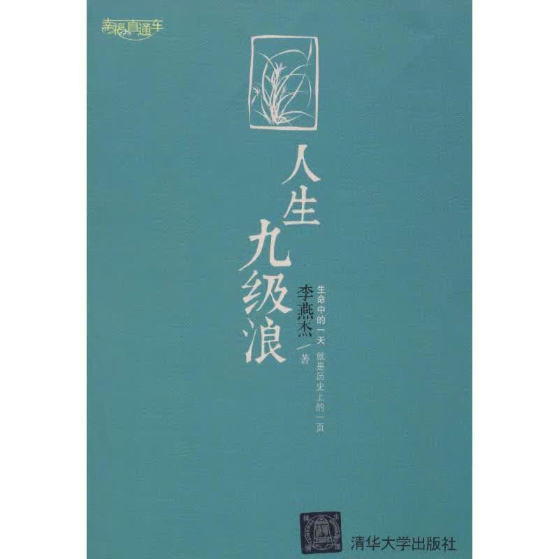 人生九级浪
