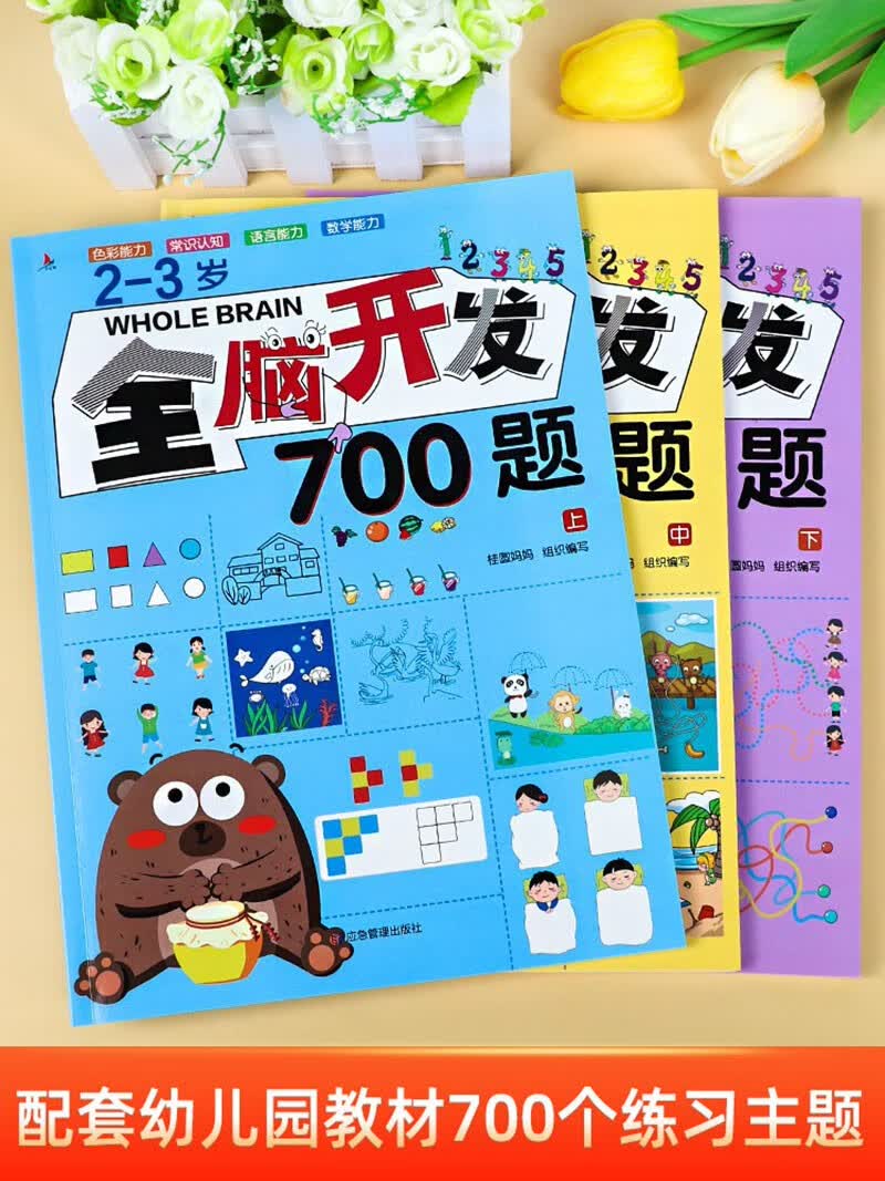 全3册全脑开发700题幼儿儿童全脑开发思维逻辑训练认知书启蒙益智早教书 2-3岁宝宝左右脑智力大