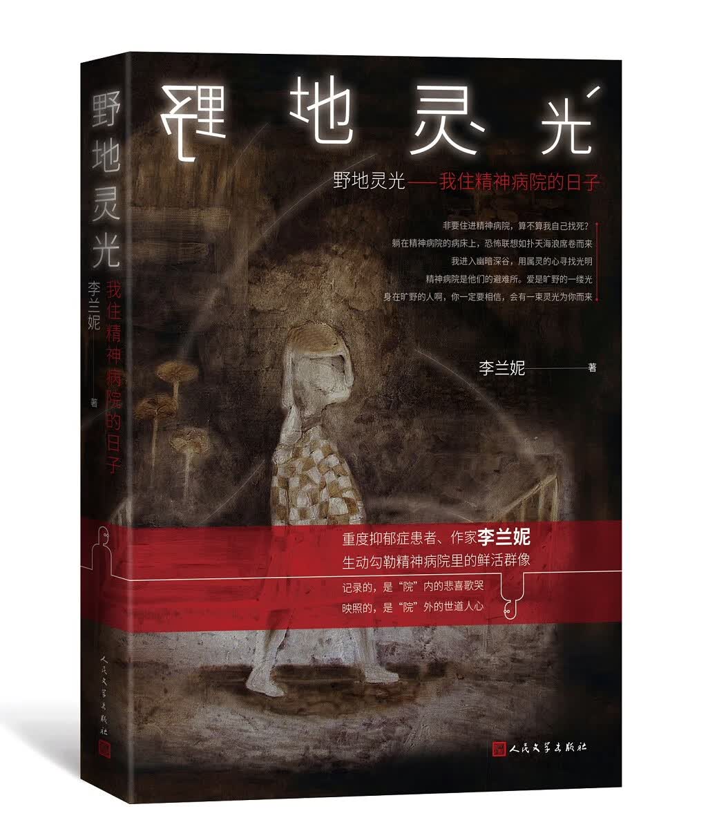野地灵光：我住精神病院的日子9787020166626