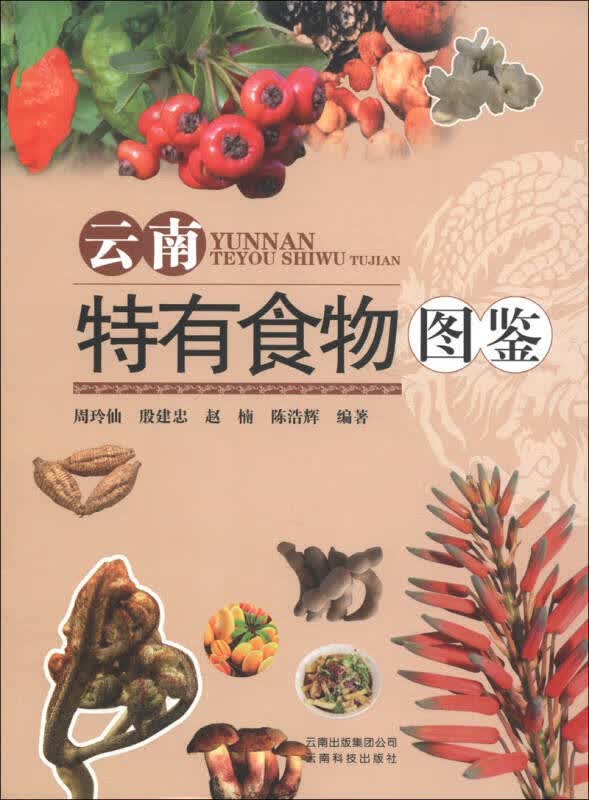 云南特有食物图鉴【好书】