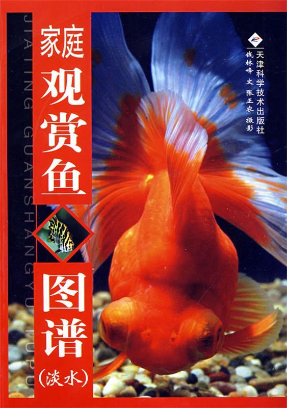 家庭观赏鱼图谱【好书，下单速发】