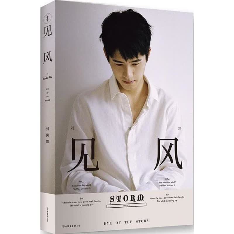 见风 刘昊然 著 中国友谊出版公司