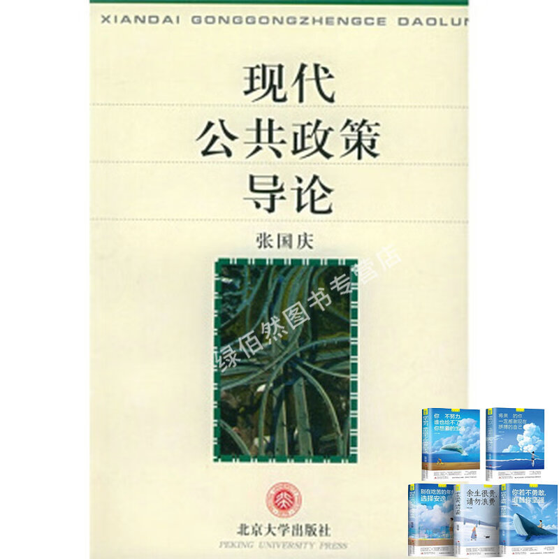 现代公共政策导论