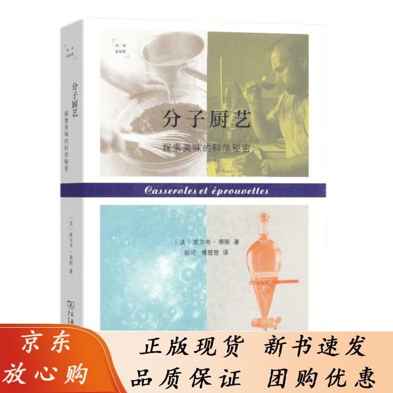 分子厨艺(法)埃尔韦&middot;蒂斯