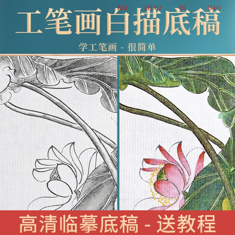 玉水湖工笔画白描底稿国画临摹画册画稿手绘素材花鸟线描入门工笔荷花中国画有步骤牡丹花卉勾线初学者宣纸 白描底稿20张35cm*55cm+国画颜料套装白描