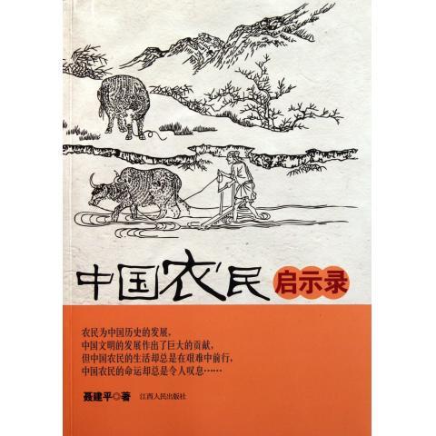 中国农民启示录 聂建平 著