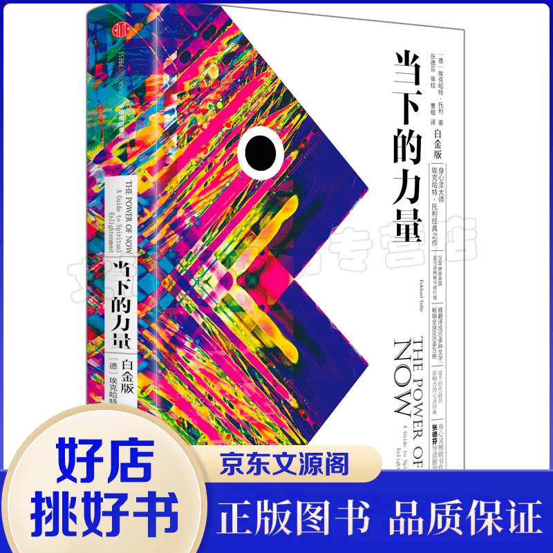 当下的力量（白金版）