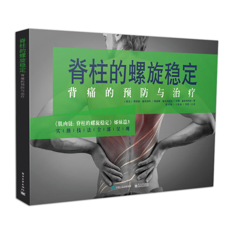 脊柱的螺旋稳定 背痛的与治疗 隋鸿锦 理查德施米西科等著 电子工业 运用螺旋肌肉链训练治疗背痛的理论和实践介绍书籍