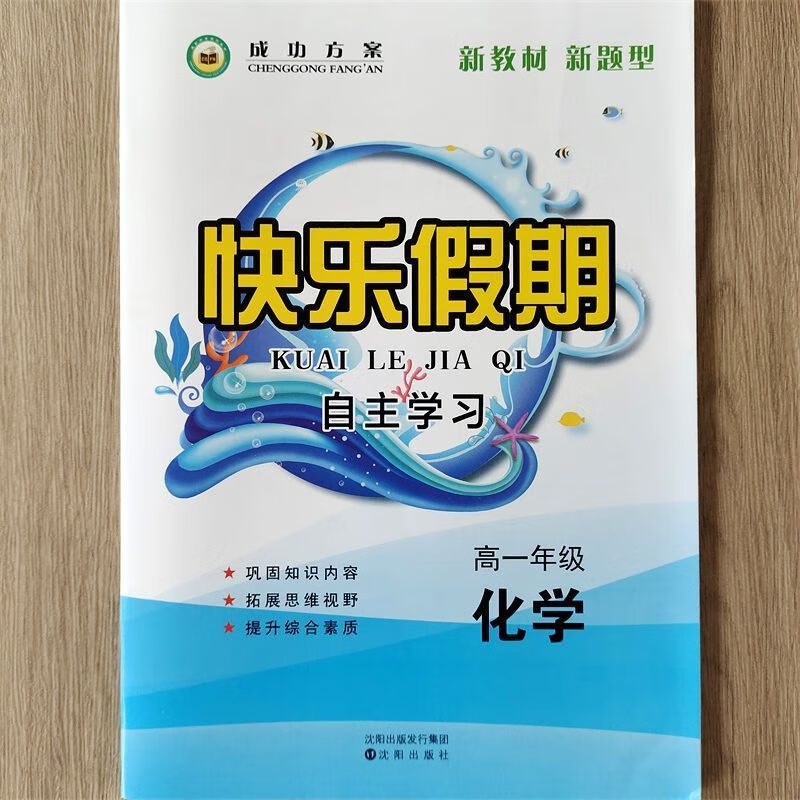 2023成功方案新教材快乐假期暑假作业高一化学