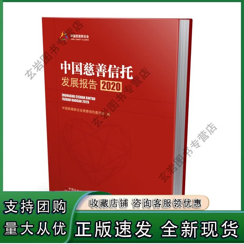 n现货 中国慈善信托发展报告（2020）