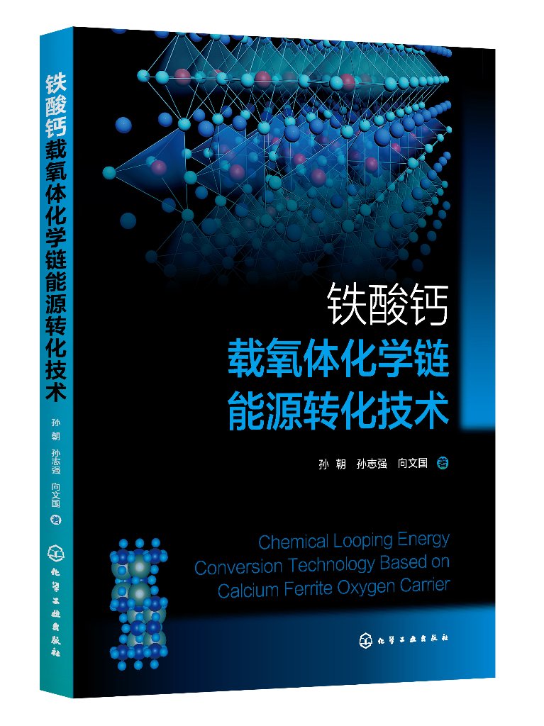 铁酸钙载氧体化学链能源转化技术 孙朝 化学链技术发展现状 化学链用载氧体材料 铁酸钙载氧体制备方法 化工材料等领域人员参考9787122430038