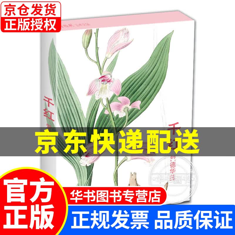 明信片《千红》水彩大师绘32张名家花卉水彩画册集艺术卡片手绘插画简约清新文艺日系复古风生日贺卡创意礼 明信片《千红》爱德华兹