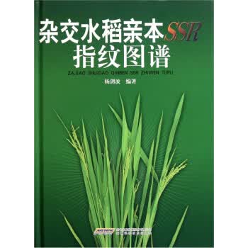杂交水稻亲本SSR指纹图谱 杨剑波 著