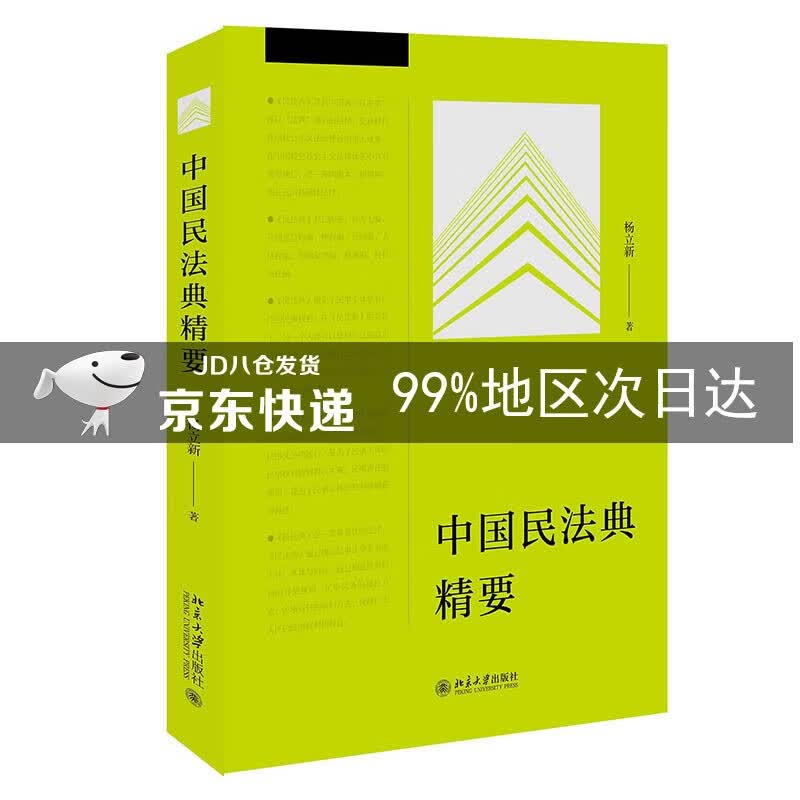 中国民法典精要