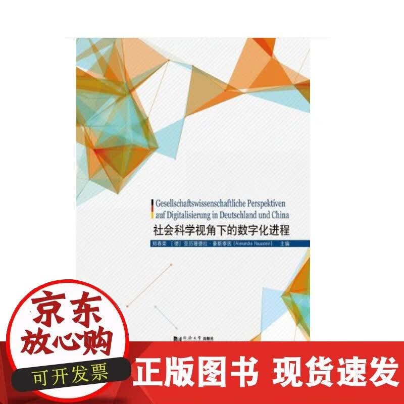 【现货】社会科学视角下的数字化进程