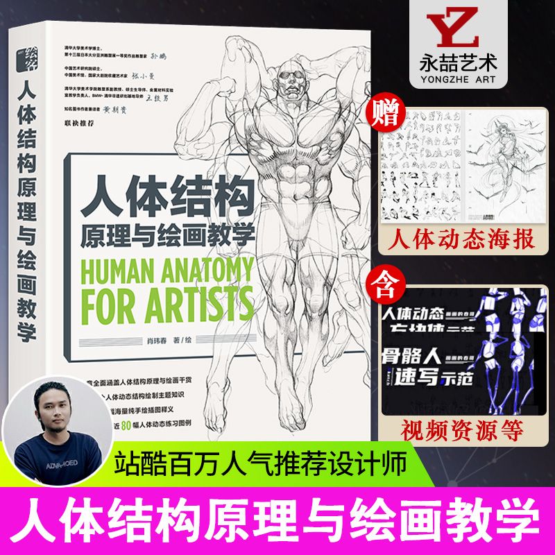【海报+视频】 画画的春哥人体结构理与绘画教学造型手绘技法教程零基础素描伯里曼漫画入门自学临摹艺