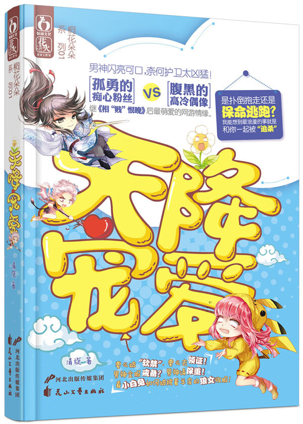天降宠爱 清旋【好书，下单速发】