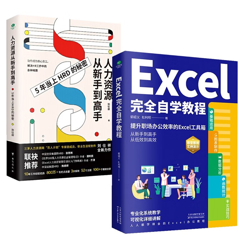 excel高效办公人力资源2本：人力资源管理实操从入门到精通+excel教程入门