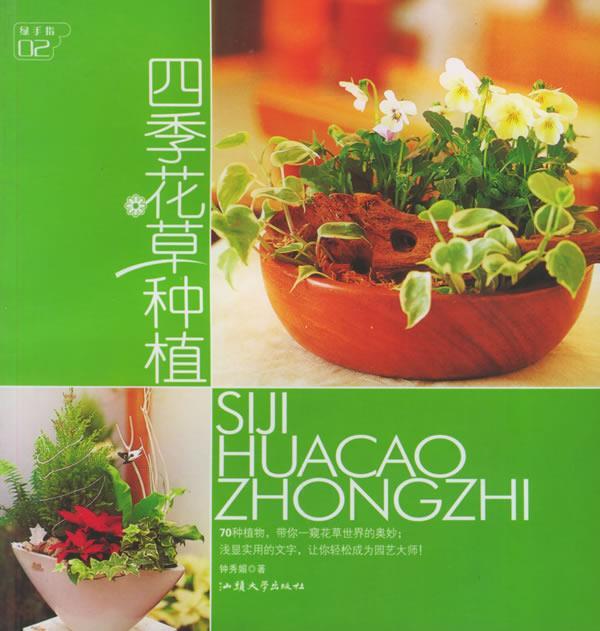 四季花草种植 钟秀媚