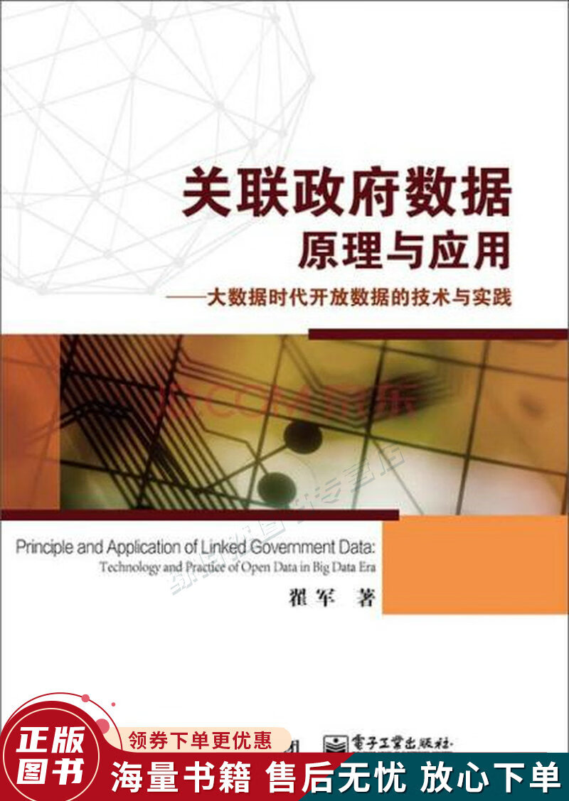 关联政府数据原理与应用大数据时代开放数据的技术与实践