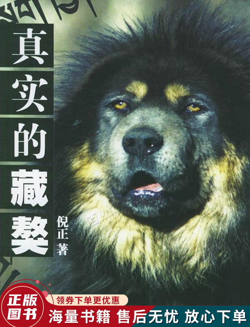 真实的藏獒