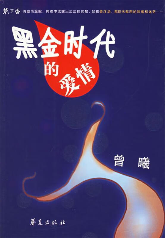 黑金时代的爱情 曾曦 著