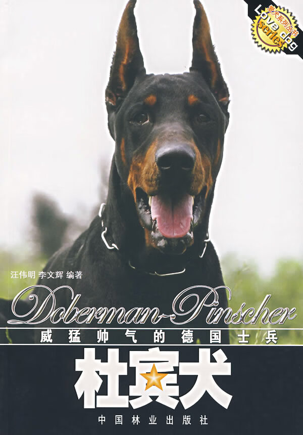 杜宾犬【现货】