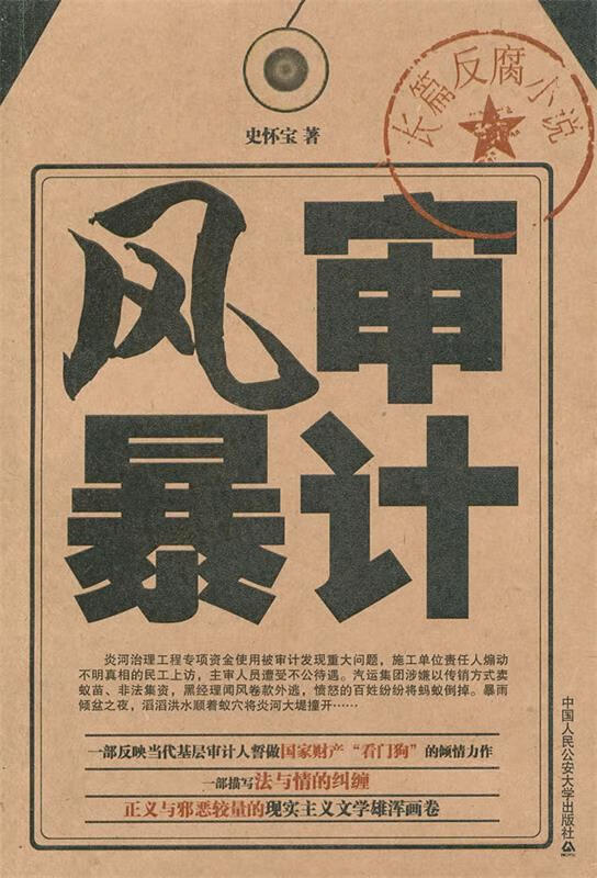审计风暴 史怀宝著【书】