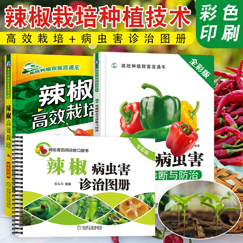 辣椒栽培种植技术书籍三部曲辣椒病虫害诊治图册+辣椒高效栽培+诊断与防治 黄红辣椒甜椒施肥管理技术大全书大棚蔬菜种植书籍