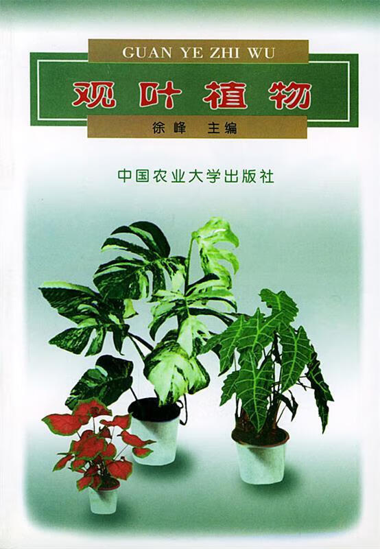 观叶植物 徐峰 主编【书】