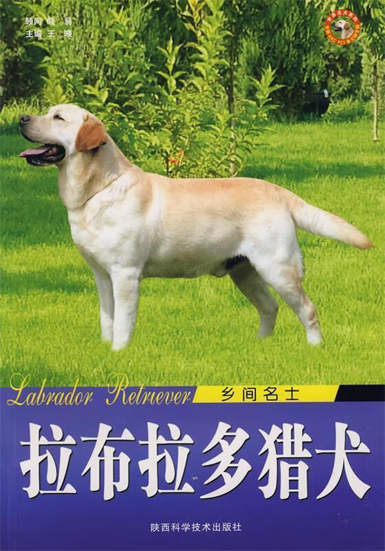 拉布拉多猎犬乡间名士 王晓 主编
