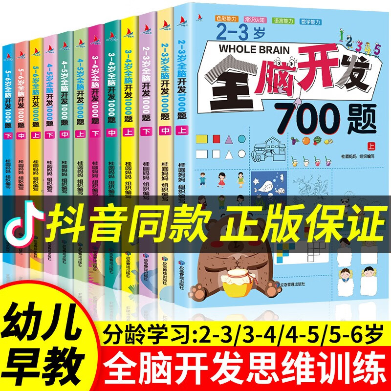 【抖音同款】3-6岁全脑开发思维游戏书幼儿逻辑思维训练 2-6岁700题全3册图书 幼儿启蒙 儿童早教益智书 【全12册】