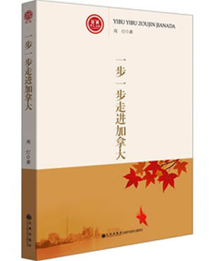 一步一步走进 亮灯【好书，下单速发】