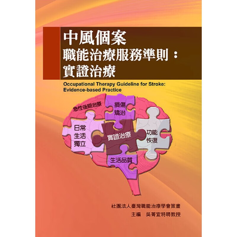 预售 毛慧芬 中风个案职能治疗服务准则：实证治疗 禾枫书局