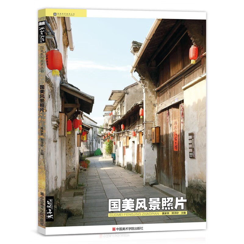 彦和出版国美风景照片彦和美术水粉画风景教程构图色调训练古镇江南水乡雪景山村城镇街道风景写生临摹素材照片图库风景素描速写书