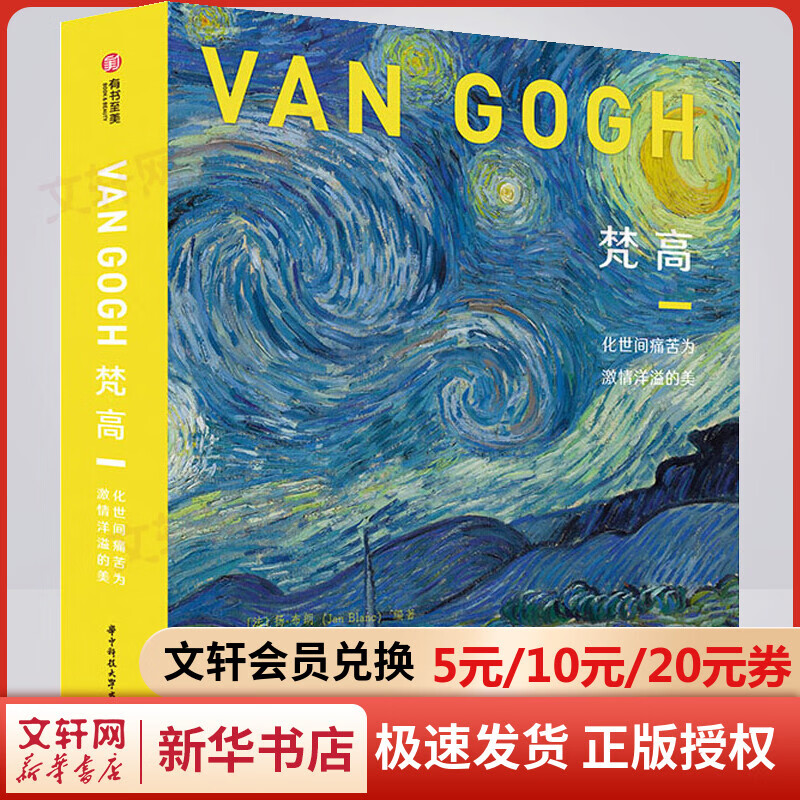 【8开精装431页】梵高：化世间痛苦为激情洋溢的美 凡高梵高画册星空经典画作 梵高传记作品赏析