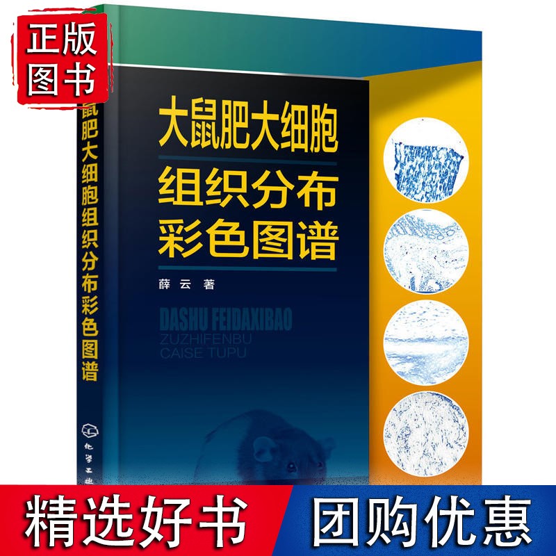 大鼠肥大细胞组织分布彩色图谱