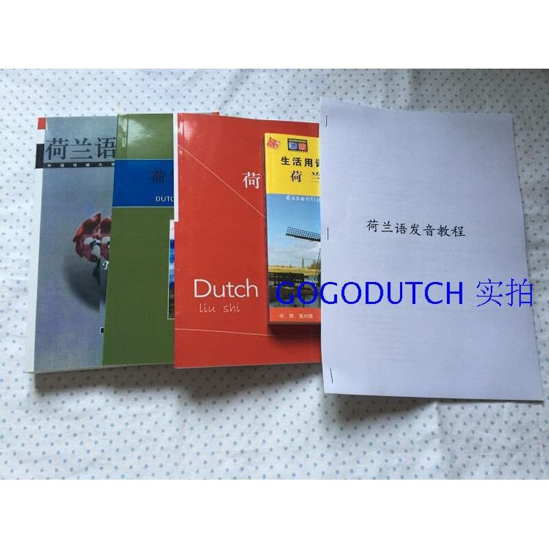自学荷兰语 荷兰语中文教程 用汉语学习荷兰语初级入门教材