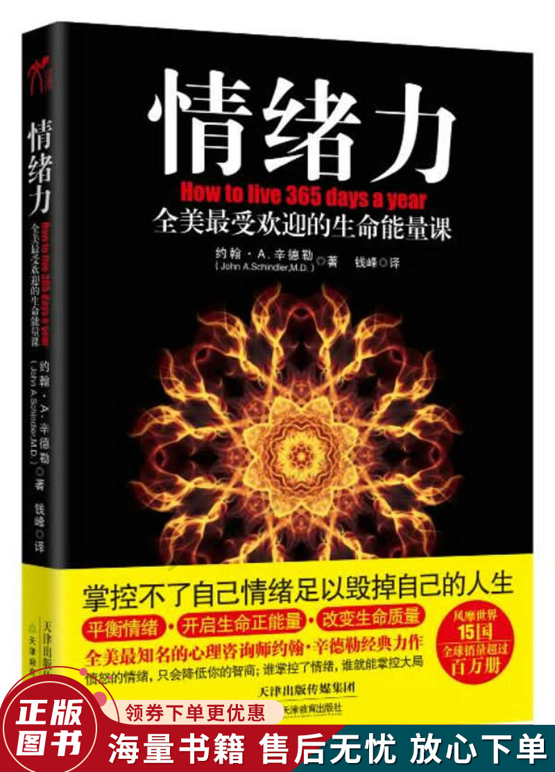情绪力：全美的生命能量课