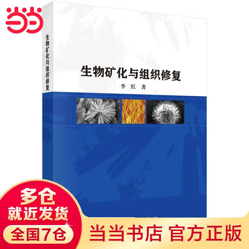 生物矿化与组织修复  李红著