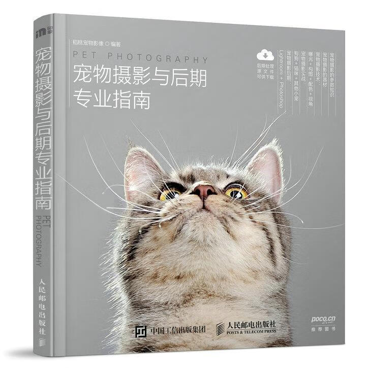 宠物摄影与后期专业指南