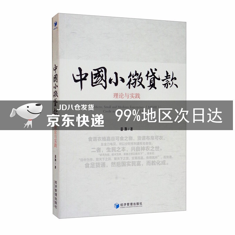 中国小微贷款：理论与实践