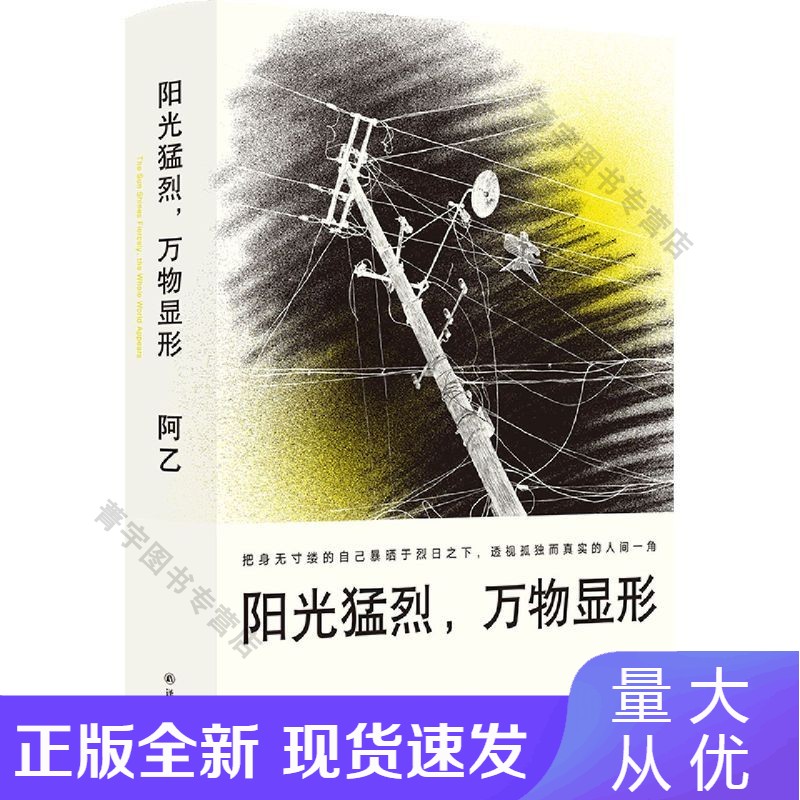 【速发】阳光猛烈,万物显形