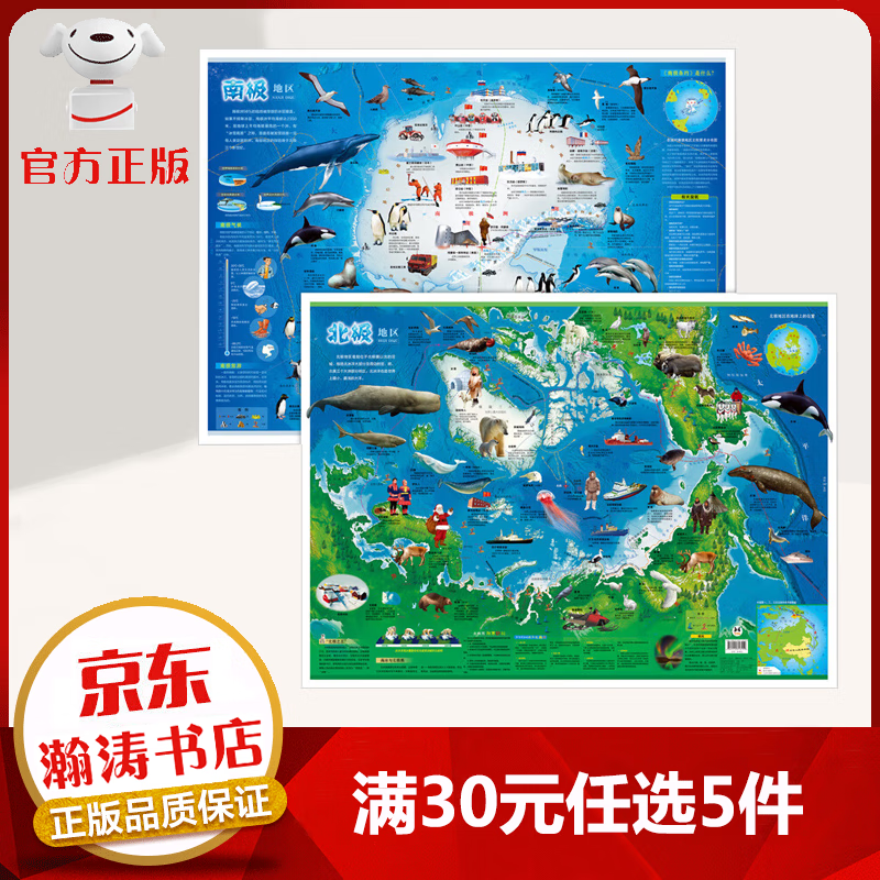【9.9专享价】南极地区 北极地区 高清大尺寸小学生家用专用挂画 趣味地图 轻松阅读