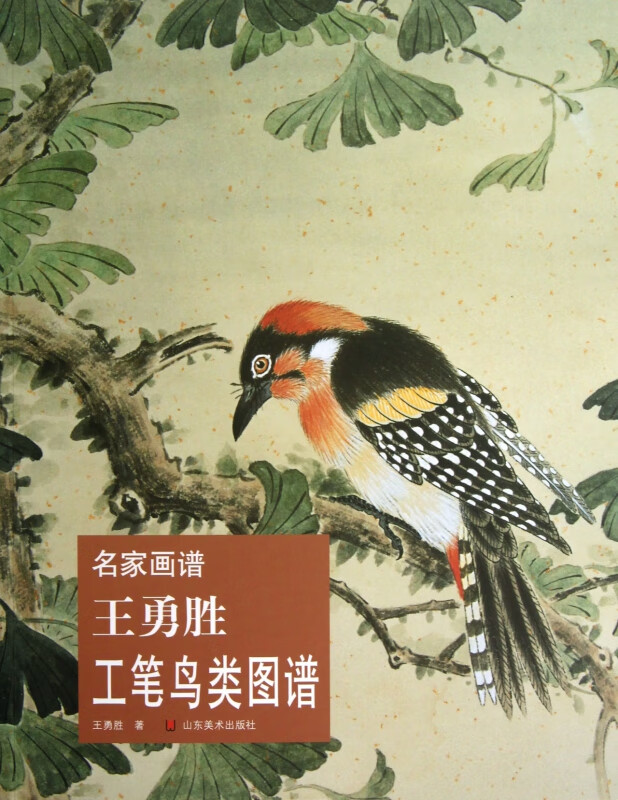 王勇胜工笔鸟类图谱/名家画谱