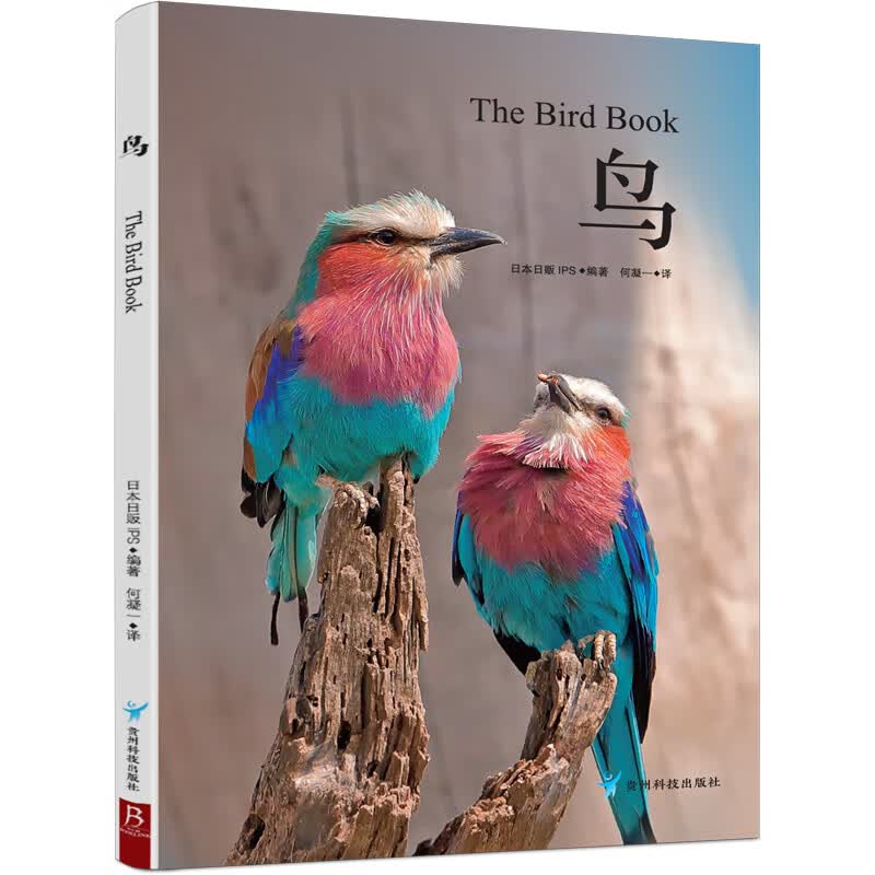 鸟 汇集世界上美丽的52种鸟 珍贵照片鉴赏动物图鉴书 鸟的世界 观鸟指南用书鸟类生态大图鉴 鸟类全书科普百科全书中小学生课外书