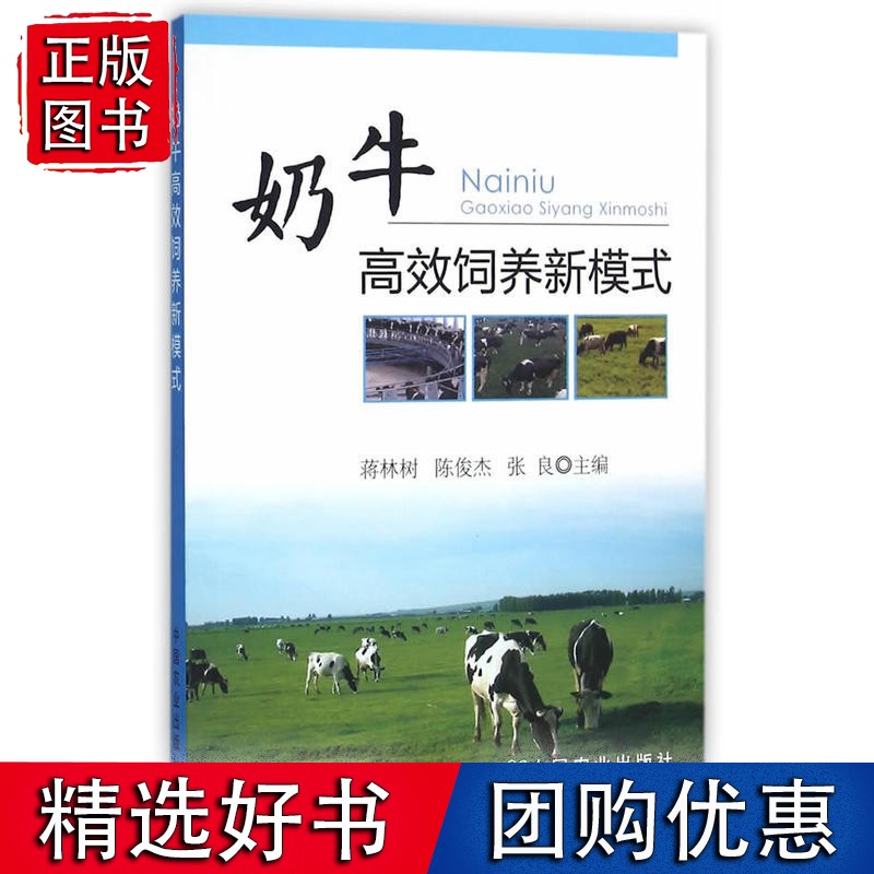奶牛饲养新模式